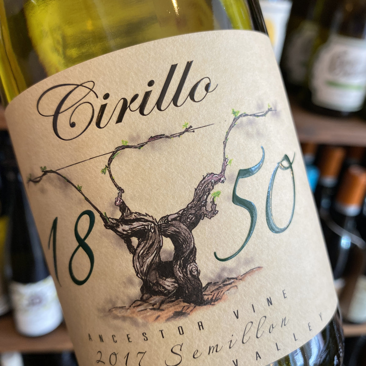 Cirillo Estate Wines 1850 Ancestor Semillon 2017 75cl – St Andrews Wine ...