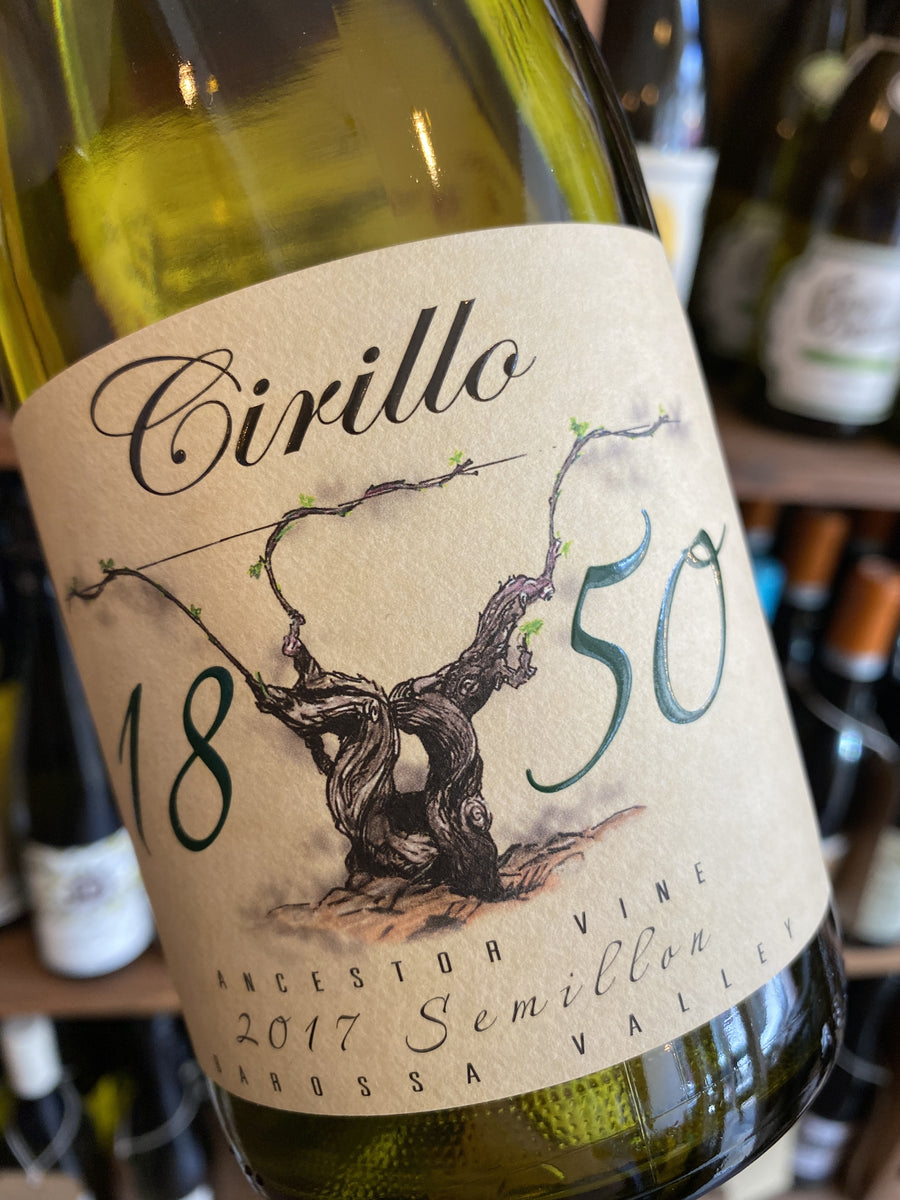 Cirillo Estate Wines 1850 Ancestor Semillon 2017 75cl – St Andrews Wine ...